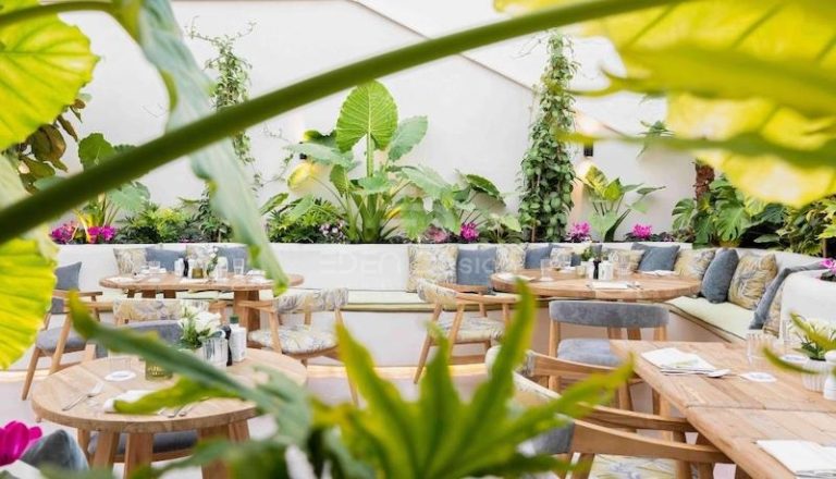 50+ mẫu thiết kế quán cafe phong cách Châu Âu cực kỳ tinh tế